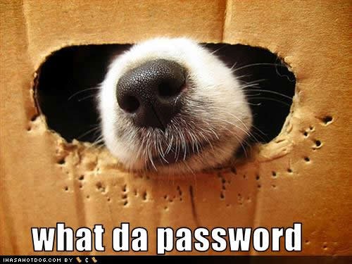 2015’s Worst Passwords | Bach Seat